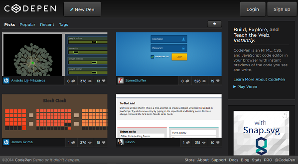 CodePen - SAKI Web Design